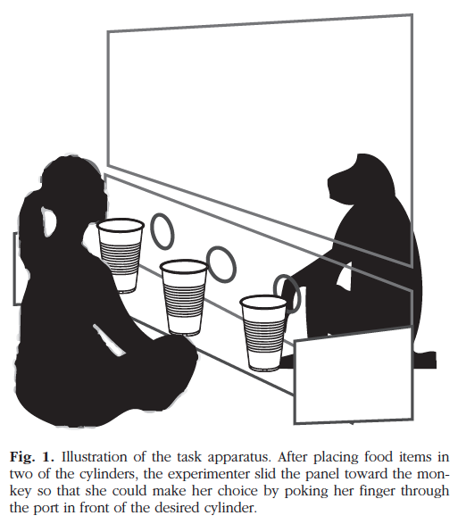 Baboon Counting Algorithms